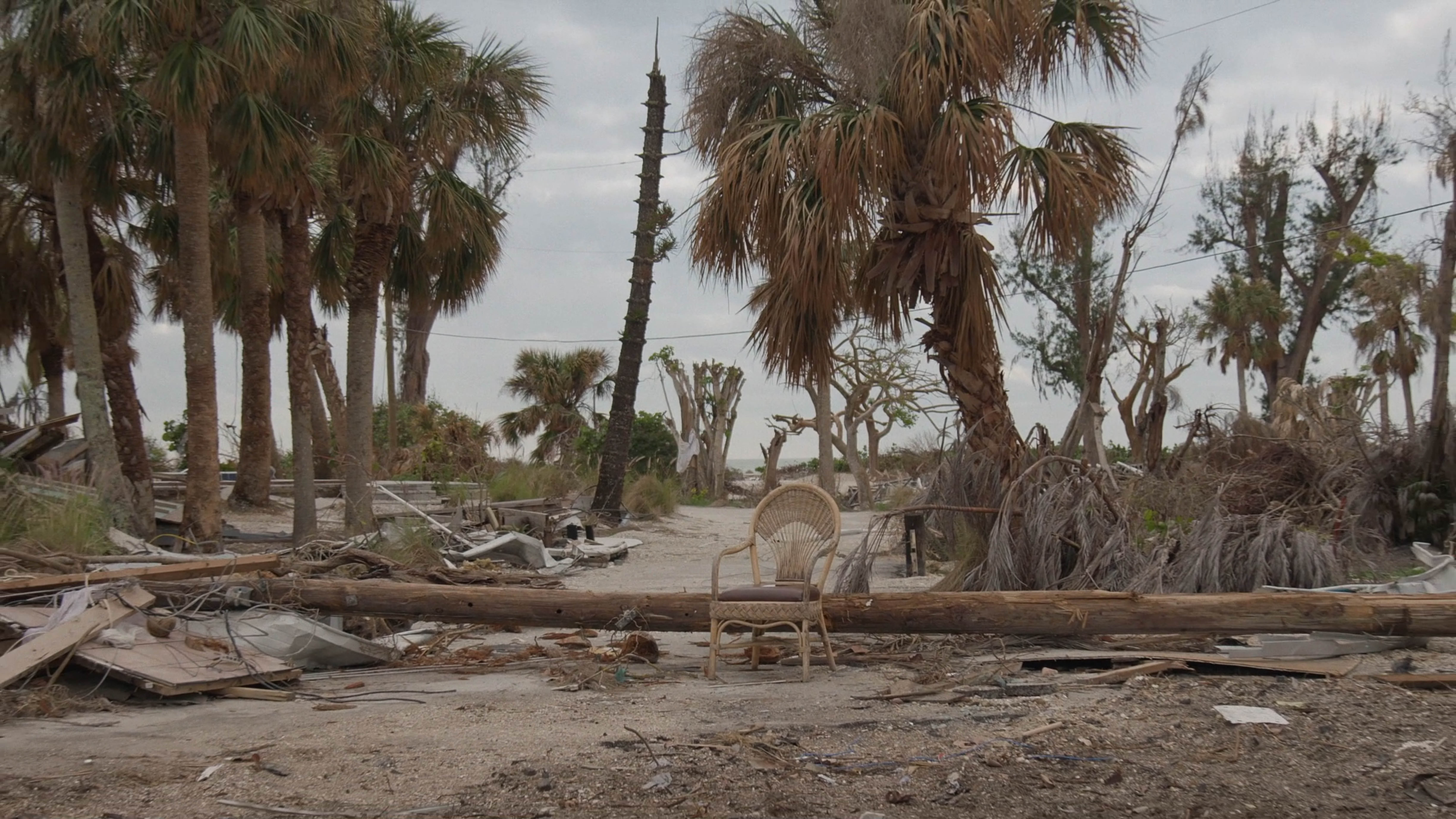 True/False 2025: “River of Grass” – Katie at the Movies